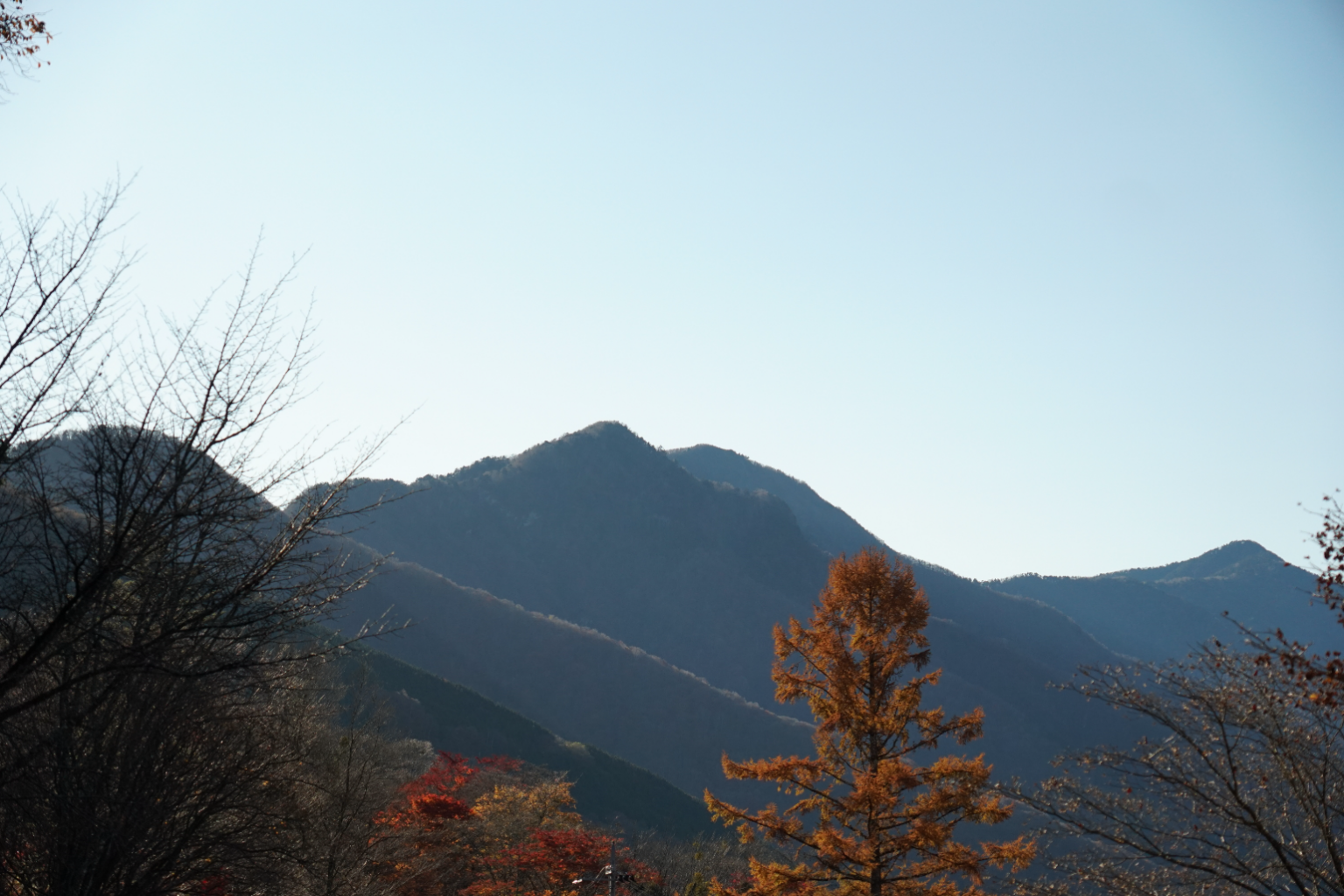 埼玉県奥秩父｜雲取山・白岩山・妙法ヶ岳。神々の頂を巡る三峰山登山 | YAMAP MAGAZINE