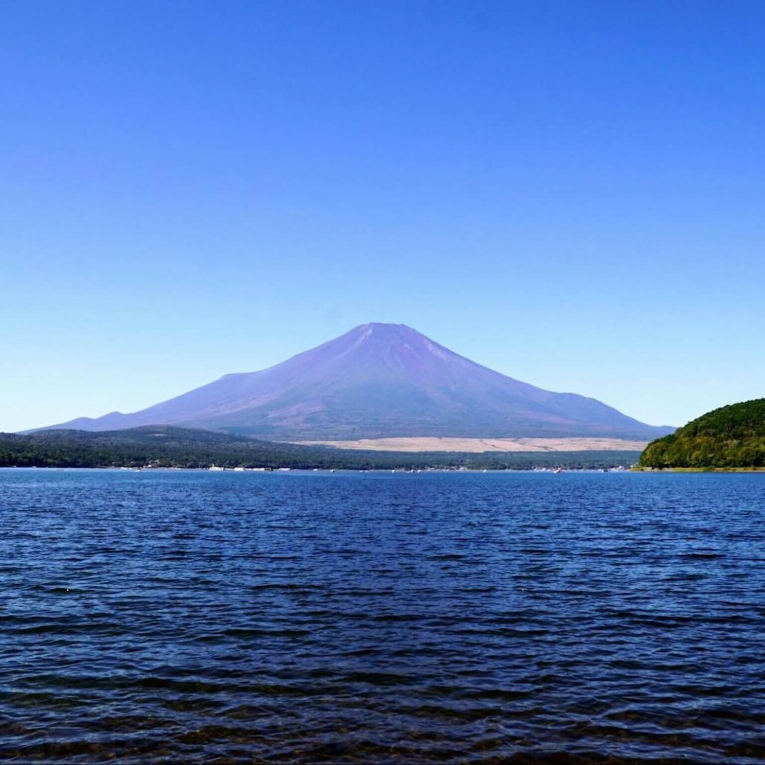 富士山麓で自然と音楽を愉しむフェス｜「Mt.FUJIMAKI」レポート | YAMAP MAGAZINE