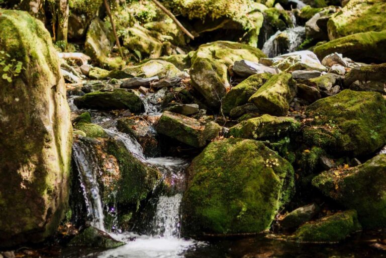 登山に必要な水の量と補給タイミング｜登山ガイドが行動時間のめやすを解説【山登り初心者の基礎知識】 | YAMAP MAGAZINE