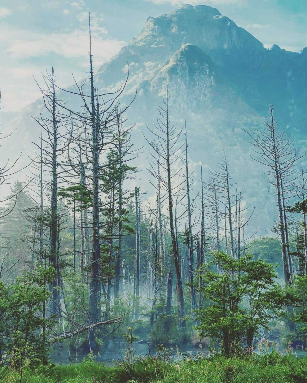 これ全部、スマホで撮影｜山で使えるiPhoneの機能や画像編集を、第一人者が初公開 | YAMAP MAGAZINE