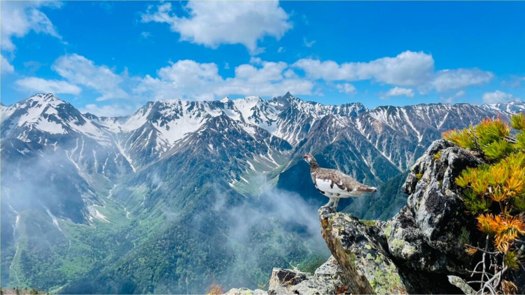 1万5千点から選ばれた大賞決まる｜YAMAPフォトコンテスト2022 結果発表 | YAMAP MAGAZINE