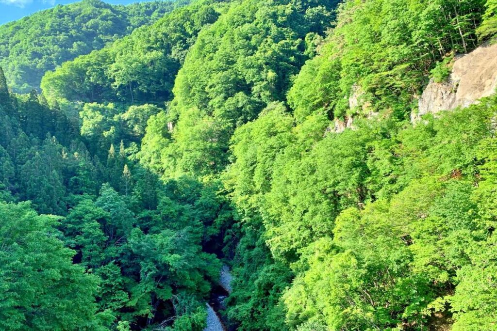 渓谷×手軽な山歩きで絶景と癒しを両どり｜山梨・長野の山歩道（さんぽみち）5選 | YAMAP MAGAZINE