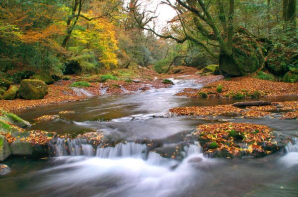 渓谷×手軽な山歩きで絶景と癒しを両どり｜全国の山歩道（さんぽみち）32選 | YAMAP MAGAZINE