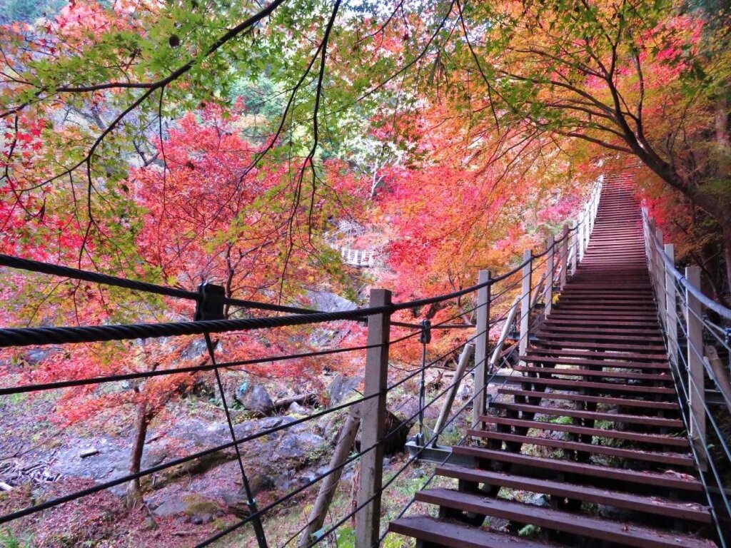渓谷×手軽な山歩きで絶景と癒しを両どり｜山梨・長野の山歩道（さんぽみち）5選 | YAMAP MAGAZINE