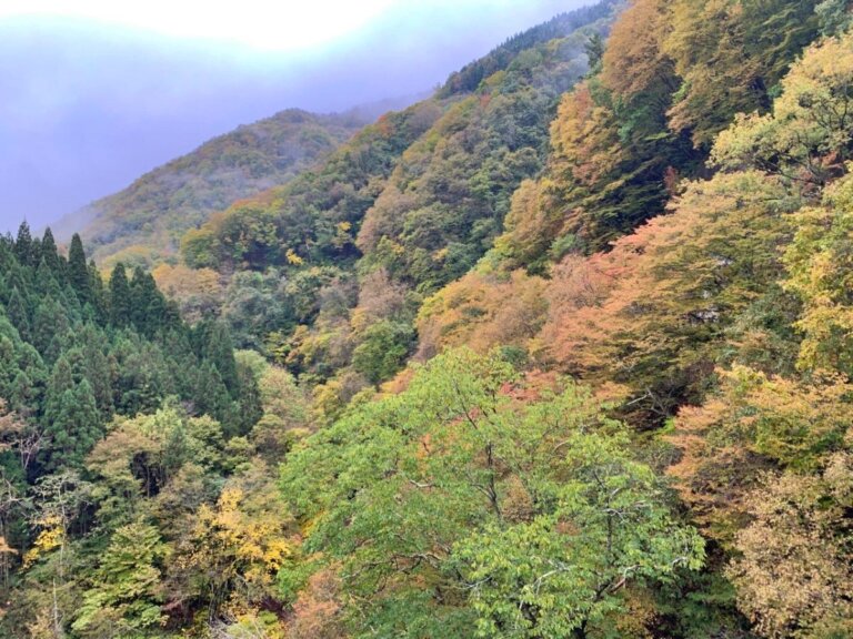 渓谷×手軽な山歩きで絶景と癒しを両どり｜山梨・長野の山歩道（さんぽみち）5選 | YAMAP MAGAZINE