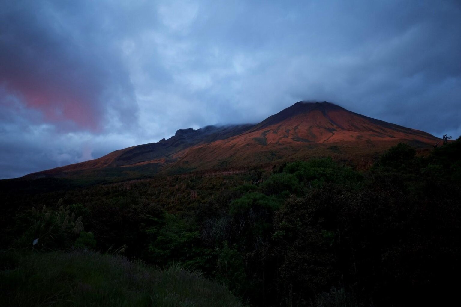 大橋未歩のニュージーランド海外トレイル体験記 #05｜さらなる逆境と、ざわつく心を乗り越えて | YAMAP MAGAZINE