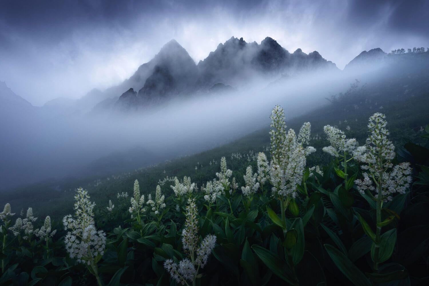 YAMAPフォトコンテスト2023 結果発表｜1万8千点の頂点決まる | YAMAP MAGAZINE