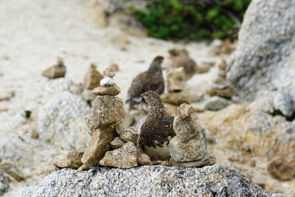 YAMAPフォトコンテスト2023 結果発表｜1万8千点の頂点決まる | YAMAP MAGAZINE