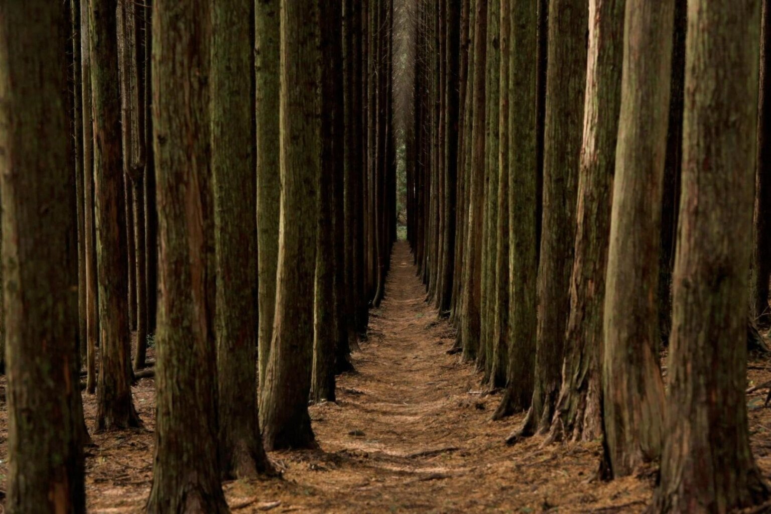 YAMAPフォトコンテスト2023 結果発表｜1万8千点の頂点決まる | YAMAP MAGAZINE