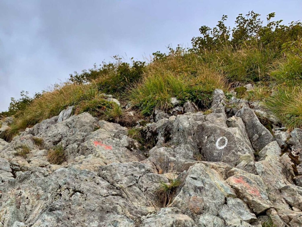 山岳遭難の原因トップ「道迷い」を防ぐ知識と行動【山登り初心者の基礎知識】 | YAMAP MAGAZINE