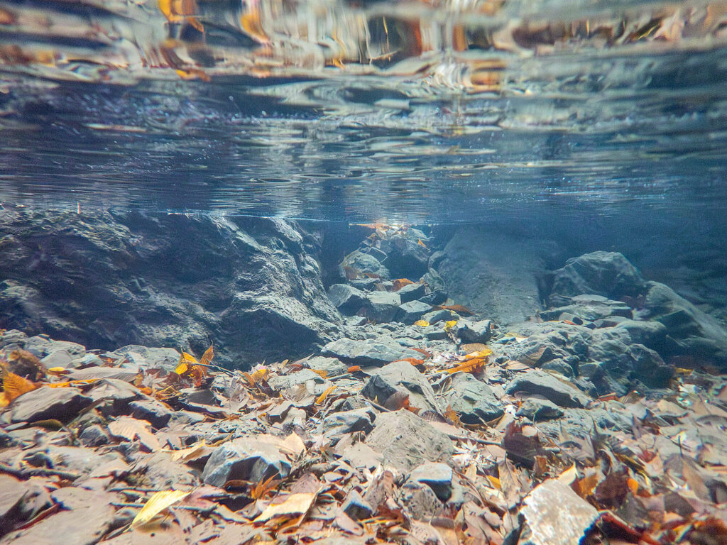 登山の楽しみ方が変わる超タフカメラ「OM SYSTEM TG-7」｜水中撮影も超マクロ撮影も欲張りに | YAMAP MAGAZINE