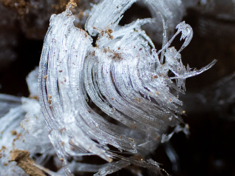 登山の楽しみ方が変わる超タフカメラ「OM SYSTEM TG-7」｜水中撮影も超マクロ撮影も欲張りに | YAMAP MAGAZINE