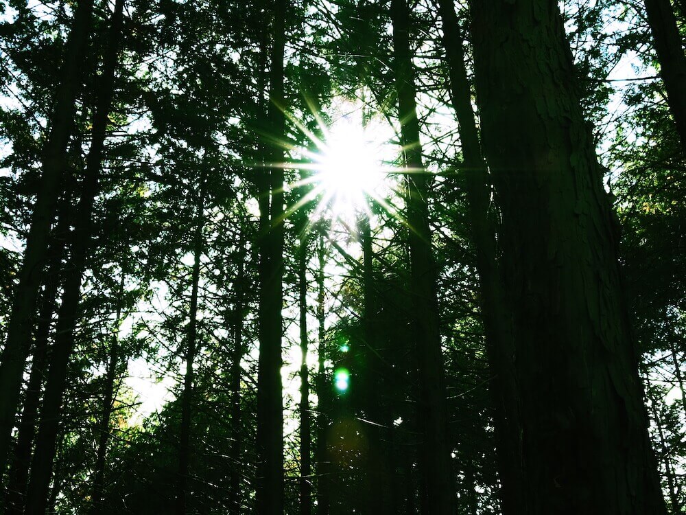 スマホに出せない「山の雰囲気」｜ミラーレス一眼の表現力を写真家が解説【OM SYSTEM OM-5】 | YAMAP MAGAZINE