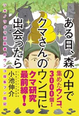 クマ棚・爪痕・樹皮はぎを見極める｜山の痕跡から分かる生態【クマとの共存。vol.6】 | YAMAP MAGAZINE