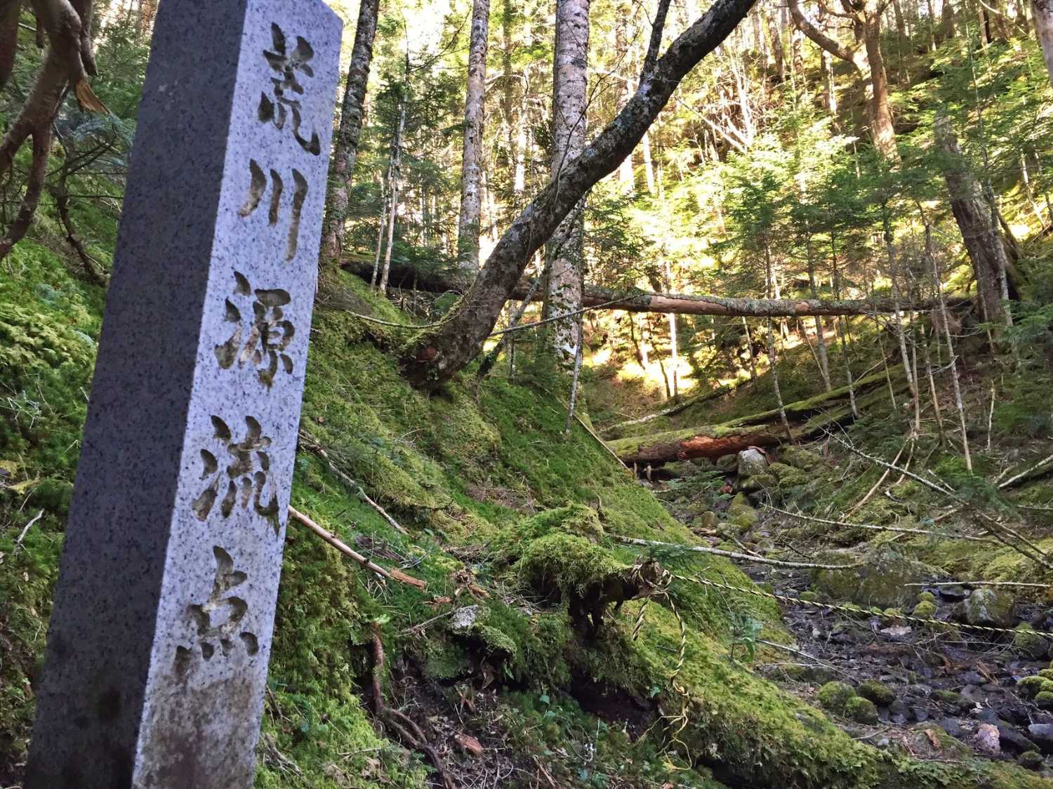 【東日本編 関東・中部・東海】ホームリバーの始まりの山に登ろう｜暮らしの恵みを感じる源流山歩 | YAMAP MAGAZINE