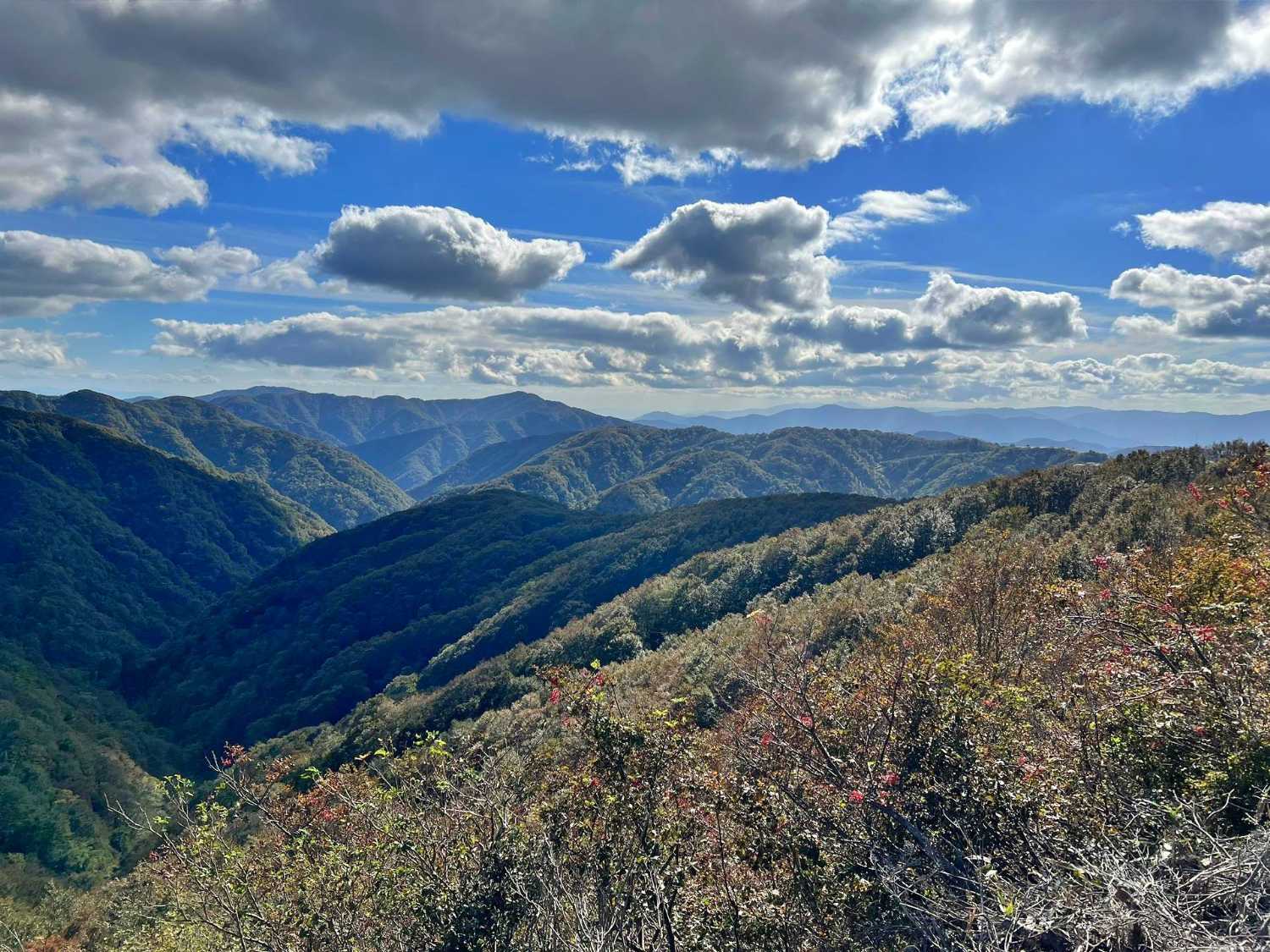 【西日本編（近畿・中国・四国・九州）】ホームリバー源流の山に登ろう｜暮らしの恵みを感じる山歩 | YAMAP MAGAZINE