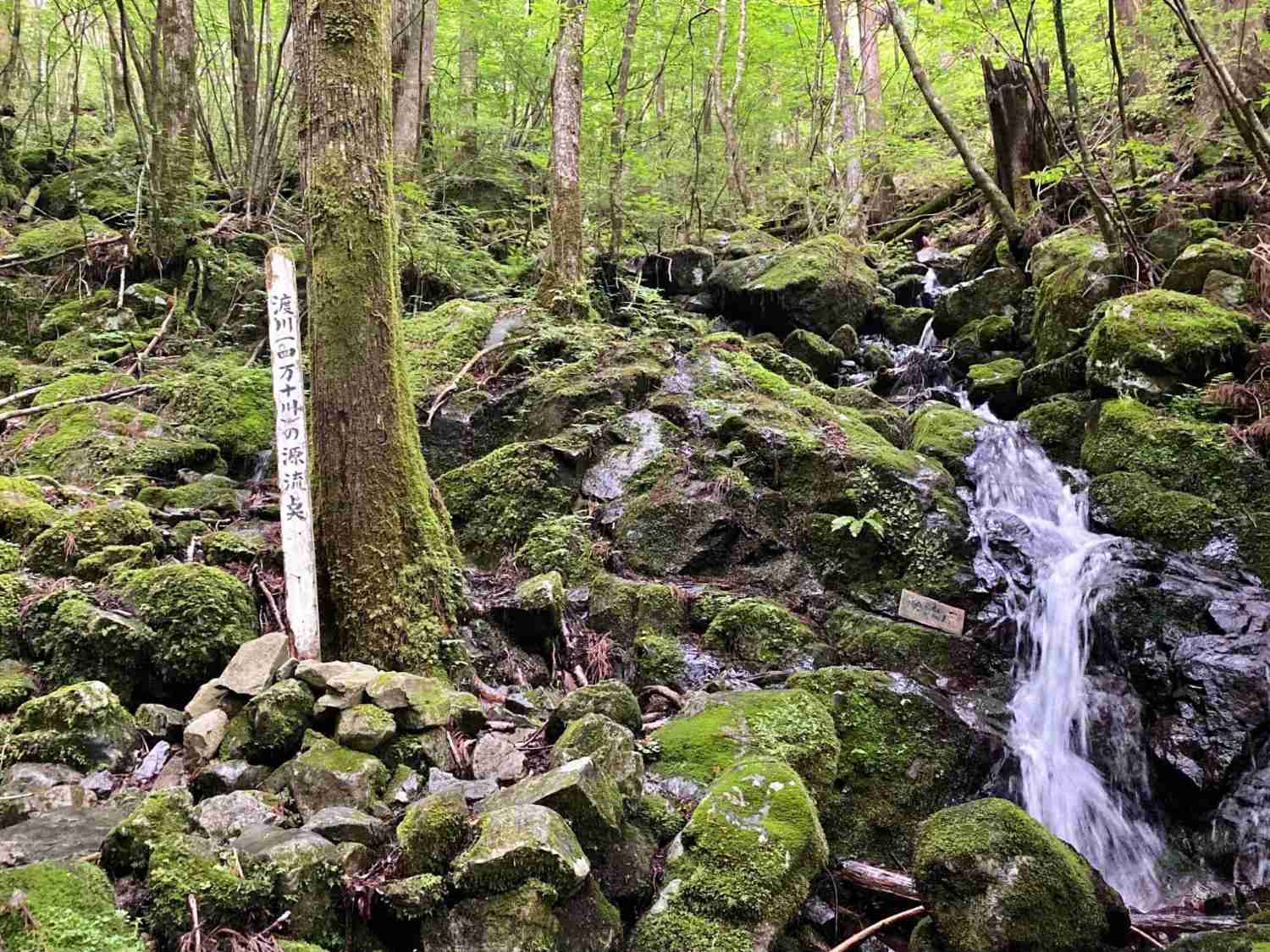 【西日本編（近畿・中国・四国・九州）】ホームリバー源流の山に登ろう｜暮らしの恵みを感じる山歩 | YAMAP MAGAZINE
