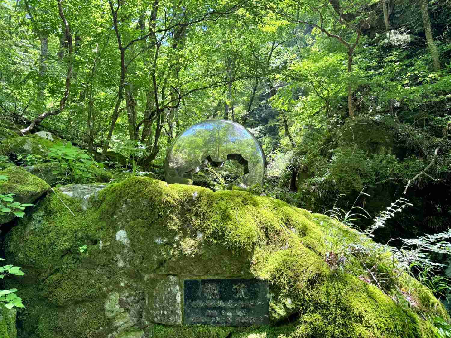 【西日本編（近畿・中国・四国・九州）】ホームリバー源流の山に登ろう｜暮らしの恵みを感じる山歩 | YAMAP MAGAZINE