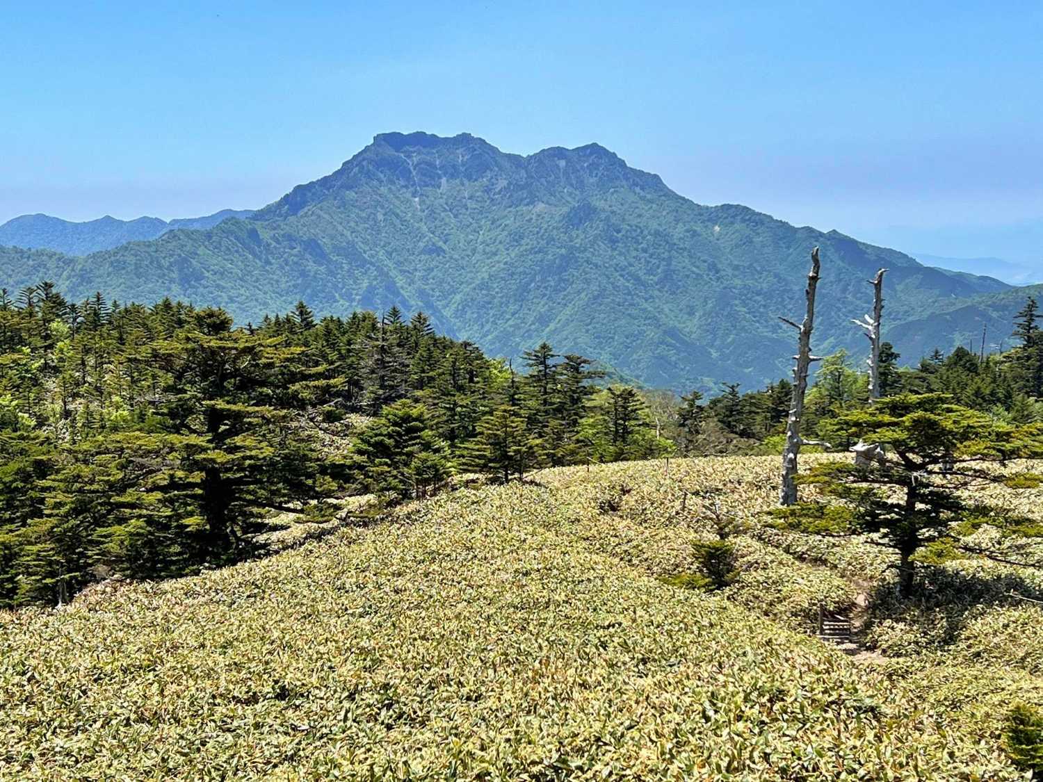 【西日本編（近畿・中国・四国・九州）】ホームリバー源流の山に登ろう｜暮らしの恵みを感じる山歩 | YAMAP MAGAZINE