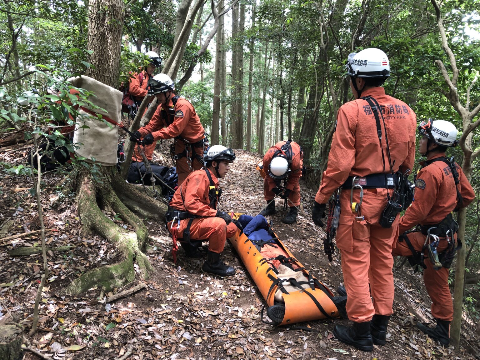 iPhone圏外でも衛星経由で緊急SOSが可能に｜YAMAPと合わせて遭難リスク減に期待 | YAMAP MAGAZINE
