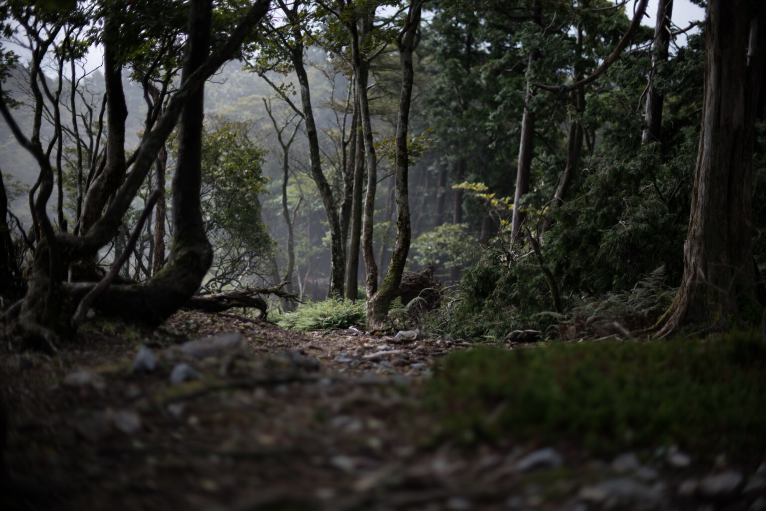 iPhone圏外でも衛星経由で緊急SOSが可能に｜YAMAPと合わせて遭難リスク減に期待 | YAMAP MAGAZINE