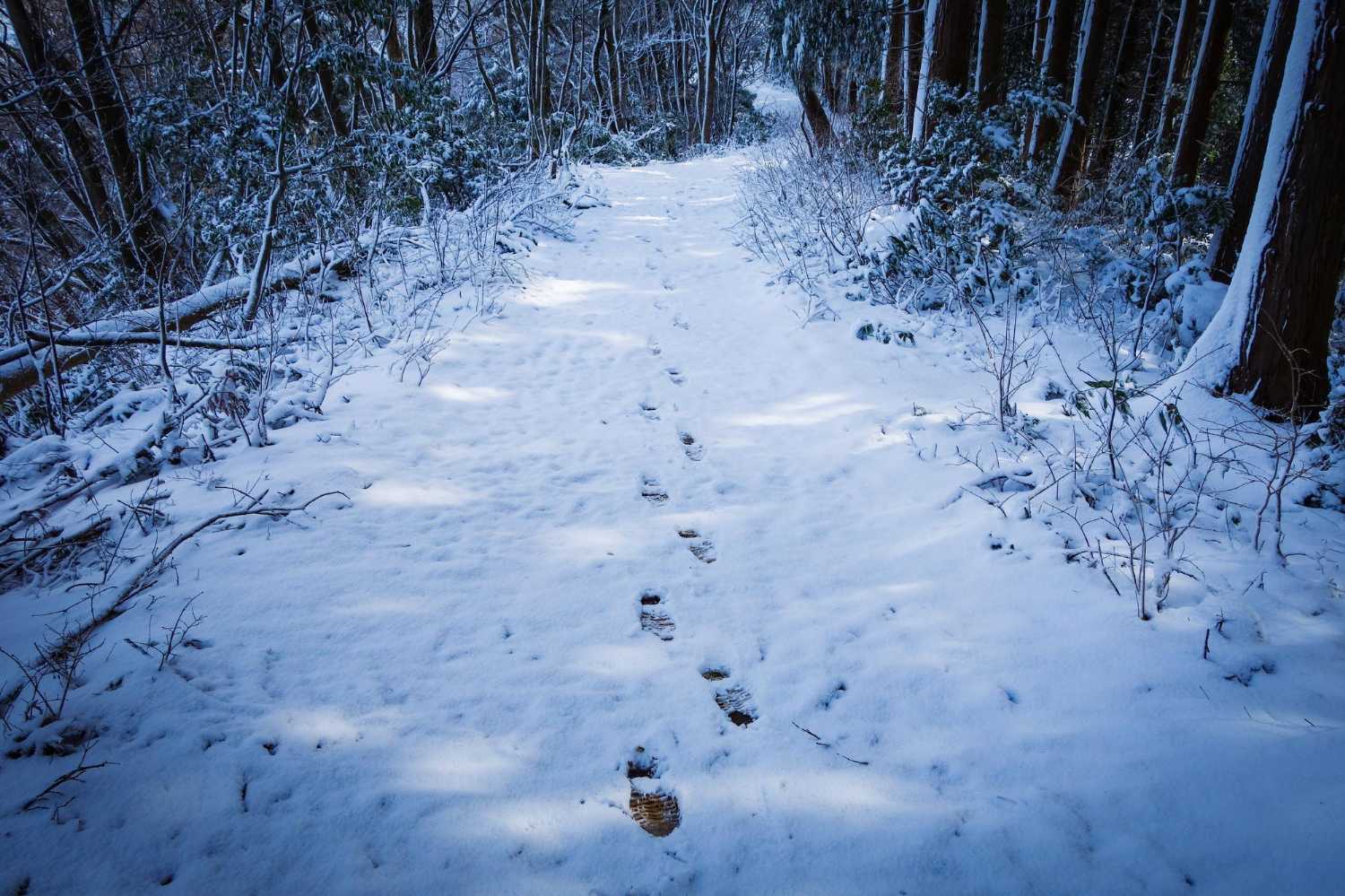 迷ったら引き返す、登山の鉄則破りが招いた滑落｜山岳SOS！命を救う遭難回避術③ | YAMAP MAGAZINE