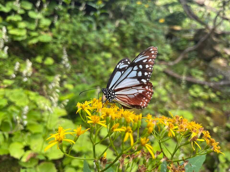 THIS IS WHY WE HIKE｜コロンビアがスローガンに込めた想い | YAMAP MAGAZINE