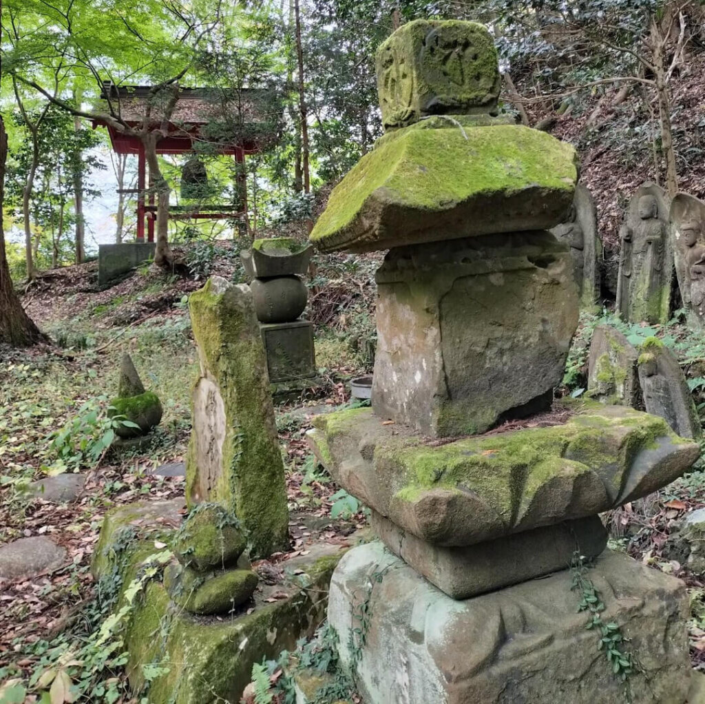 常陸国ロングトレイル・奥久慈男体山｜公共交通機関で楽しめる最高の山旅 | YAMAP MAGAZINE