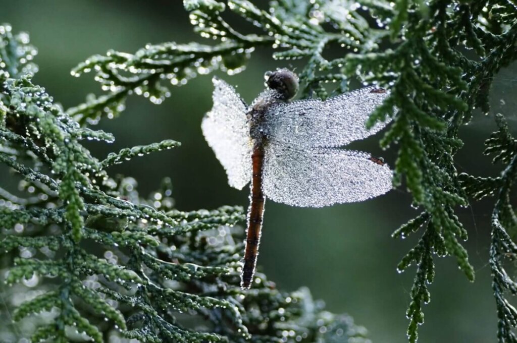 OM SYSTEM「登山の思い出」投稿キャンペーン結果発表｜素敵な物語と写真が満載 | YAMAP MAGAZINE