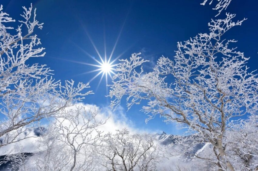 OM SYSTEM「登山の思い出」投稿キャンペーン結果発表｜素敵な物語と写真が満載 | YAMAP MAGAZINE