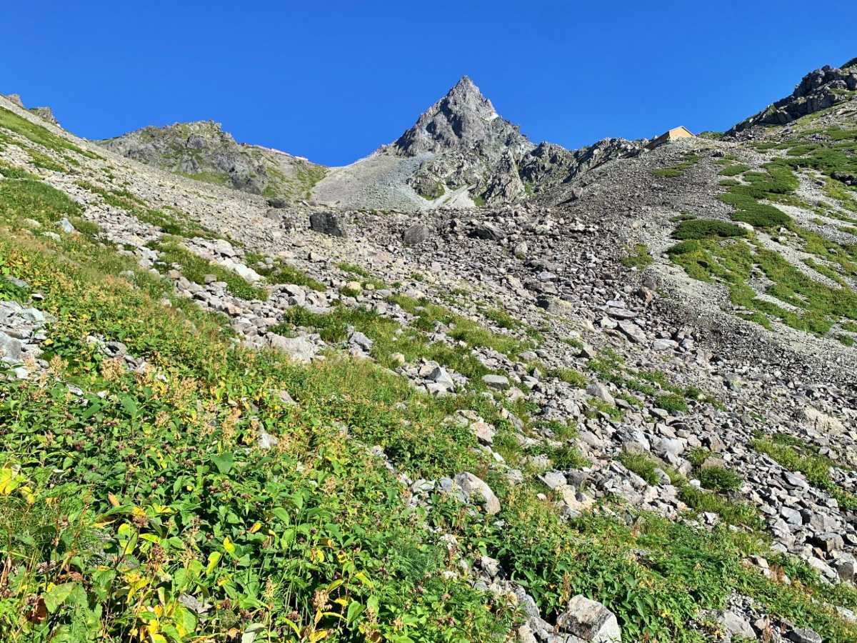 今、山ではなにが起きているのか？ 2024年遭難・事故状況とヤマップの安全への取り組み | YAMAP MAGAZINE