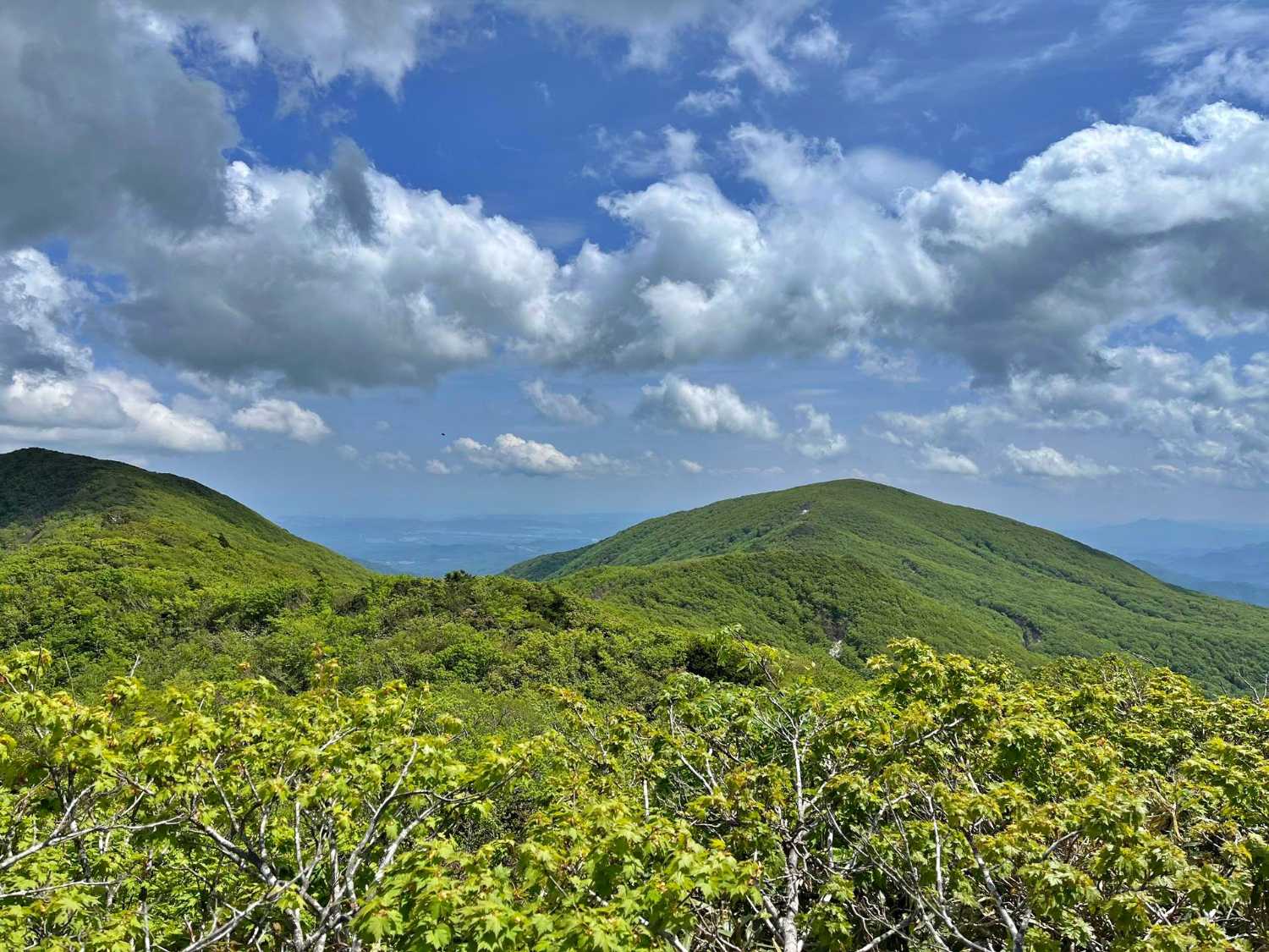 2025年は巳（み）年｜干支の山に登って縁起のいい新年を迎えよう | YAMAP MAGAZINE