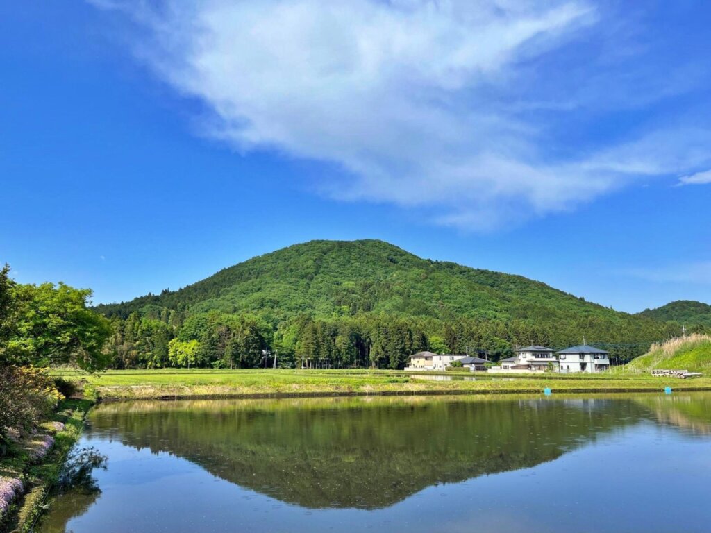 2025年は巳（み）年｜干支の山に登って縁起のいい新年を迎えよう | YAMAP MAGAZINE