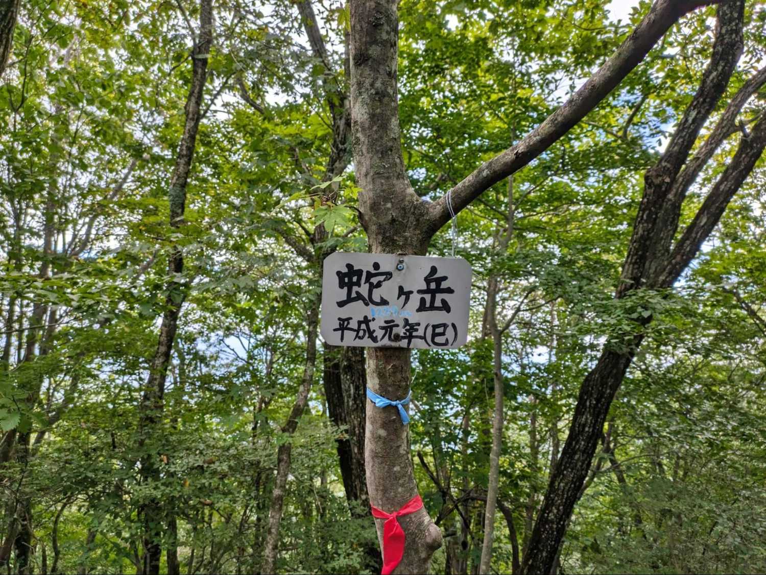 2025年は巳（み）年｜干支の山に登って縁起のいい新年を迎えよう | YAMAP MAGAZINE