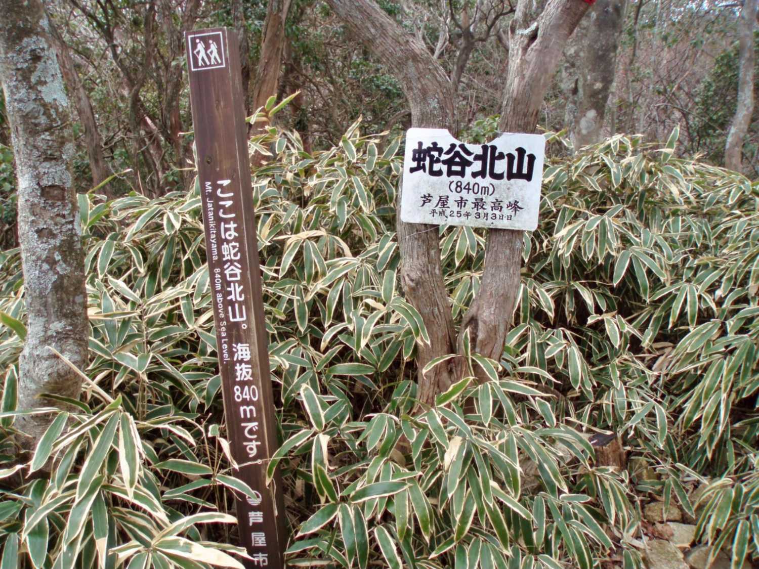 2025年は巳（み）年｜干支の山に登って縁起のいい新年を迎えよう | YAMAP MAGAZINE