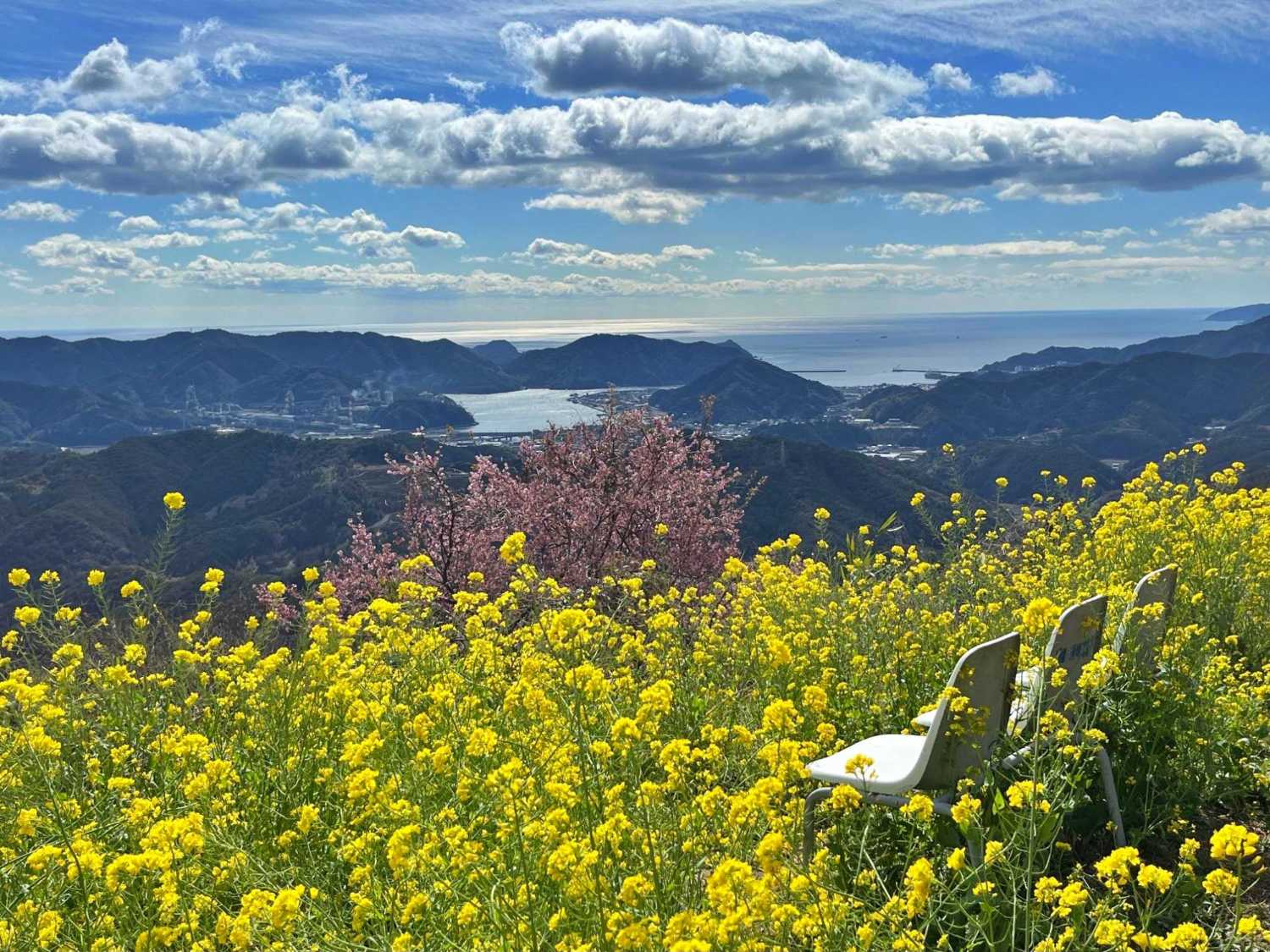 2025年は巳（み）年｜干支の山に登って縁起のいい新年を迎えよう | YAMAP MAGAZINE