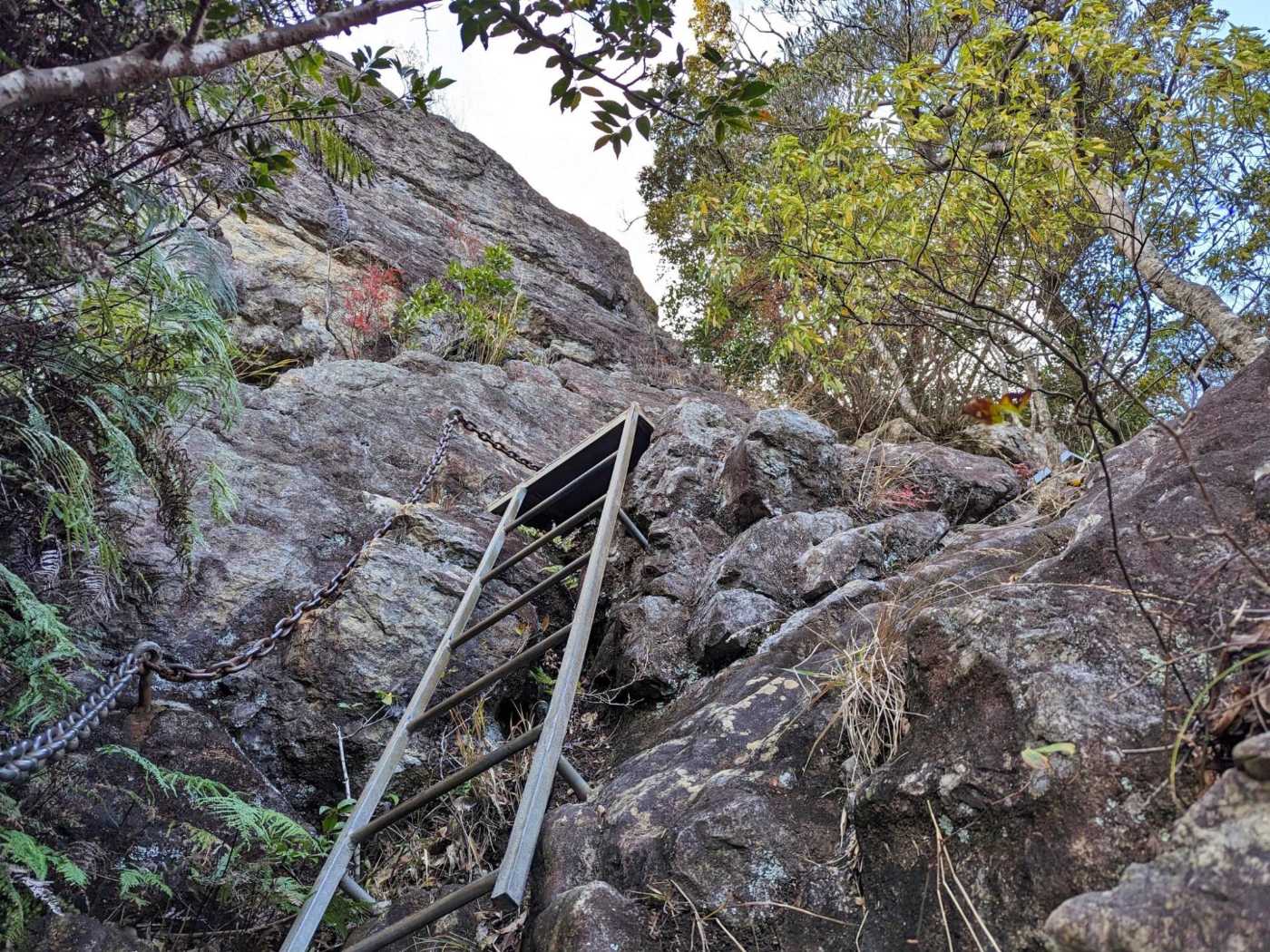 2025年は巳（み）年｜干支の山に登って縁起のいい新年を迎えよう | YAMAP MAGAZINE