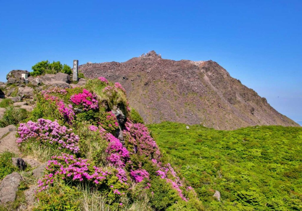 2025年は巳（み）年｜干支の山に登って縁起のいい新年を迎えよう | YAMAP MAGAZINE