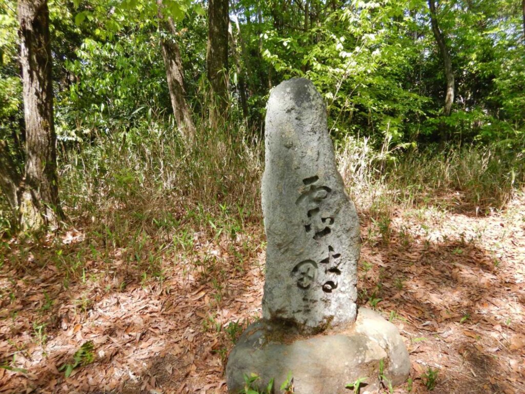 2025年は巳（み）年｜干支の山に登って縁起のいい新年を迎えよう | YAMAP MAGAZINE