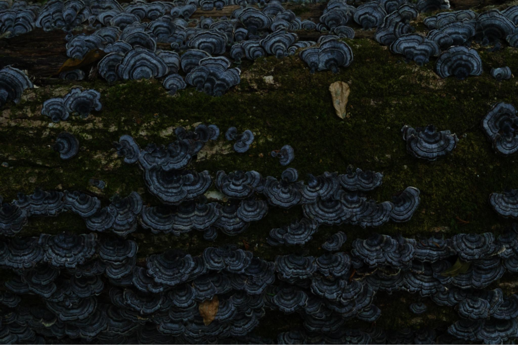 YAMAPフォトコンテスト2024 結果発表｜約1万8千点の頂点決まる | YAMAP MAGAZINE