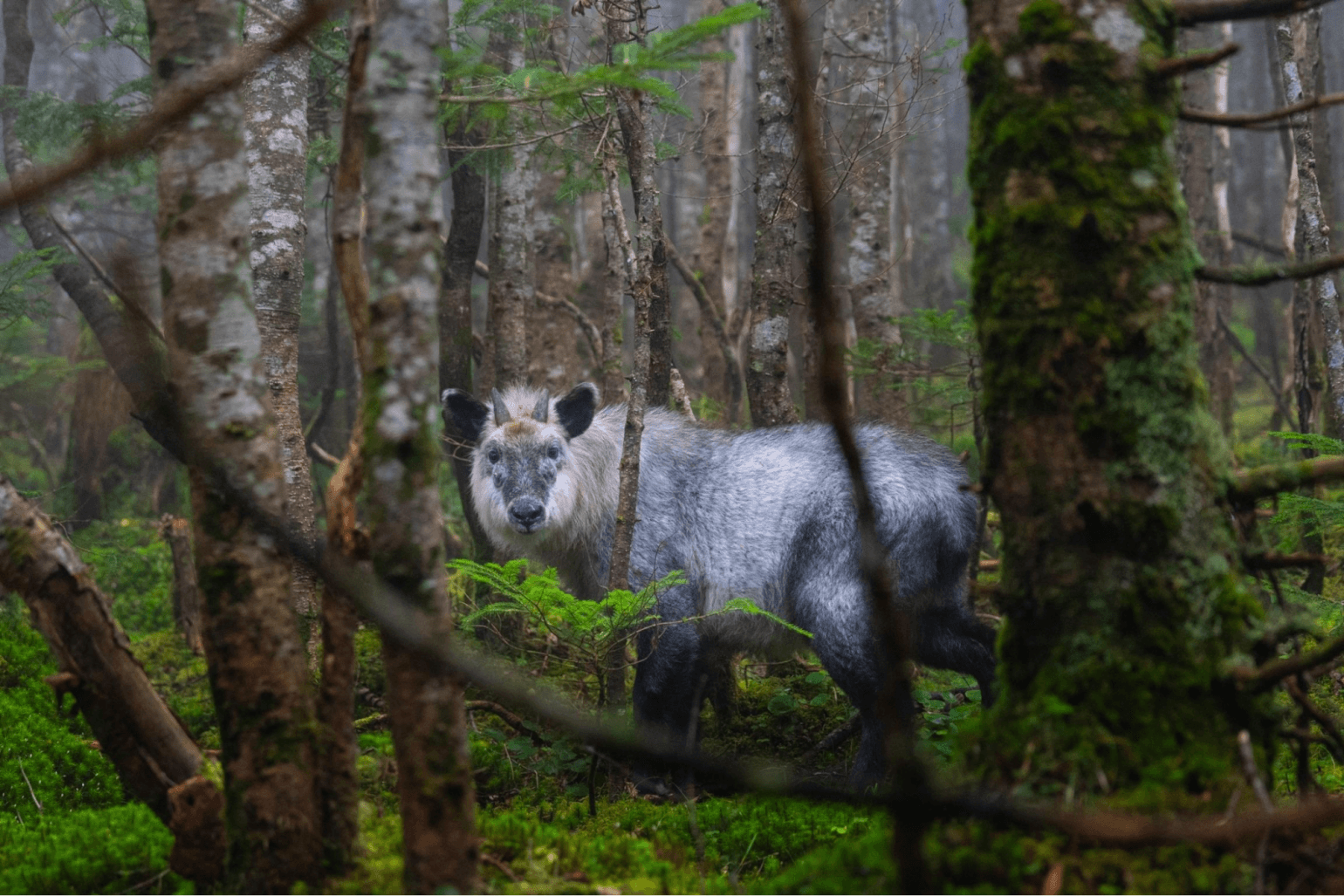 YAMAPフォトコンテスト2024 結果発表｜約1万8千点の頂点決まる | YAMAP MAGAZINE