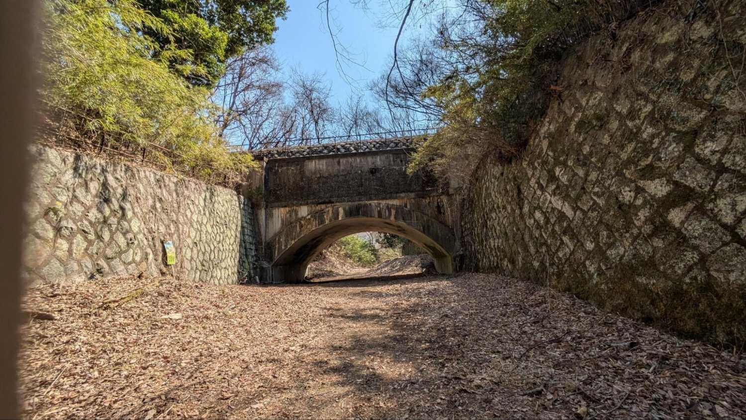 春のミツマタ山歩 | 可憐な花を楽しめるYAMAP登頂者数TOP5【東日本編】 | YAMAP MAGAZINE