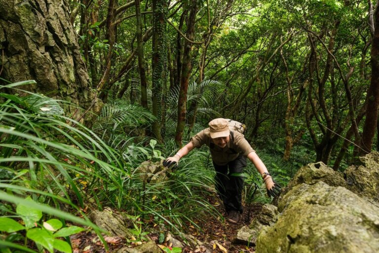 3万円台で登山ナビに心電図も！最新スマートウォッチ「FIT 4 Pro」 | YAMAP MAGAZINE