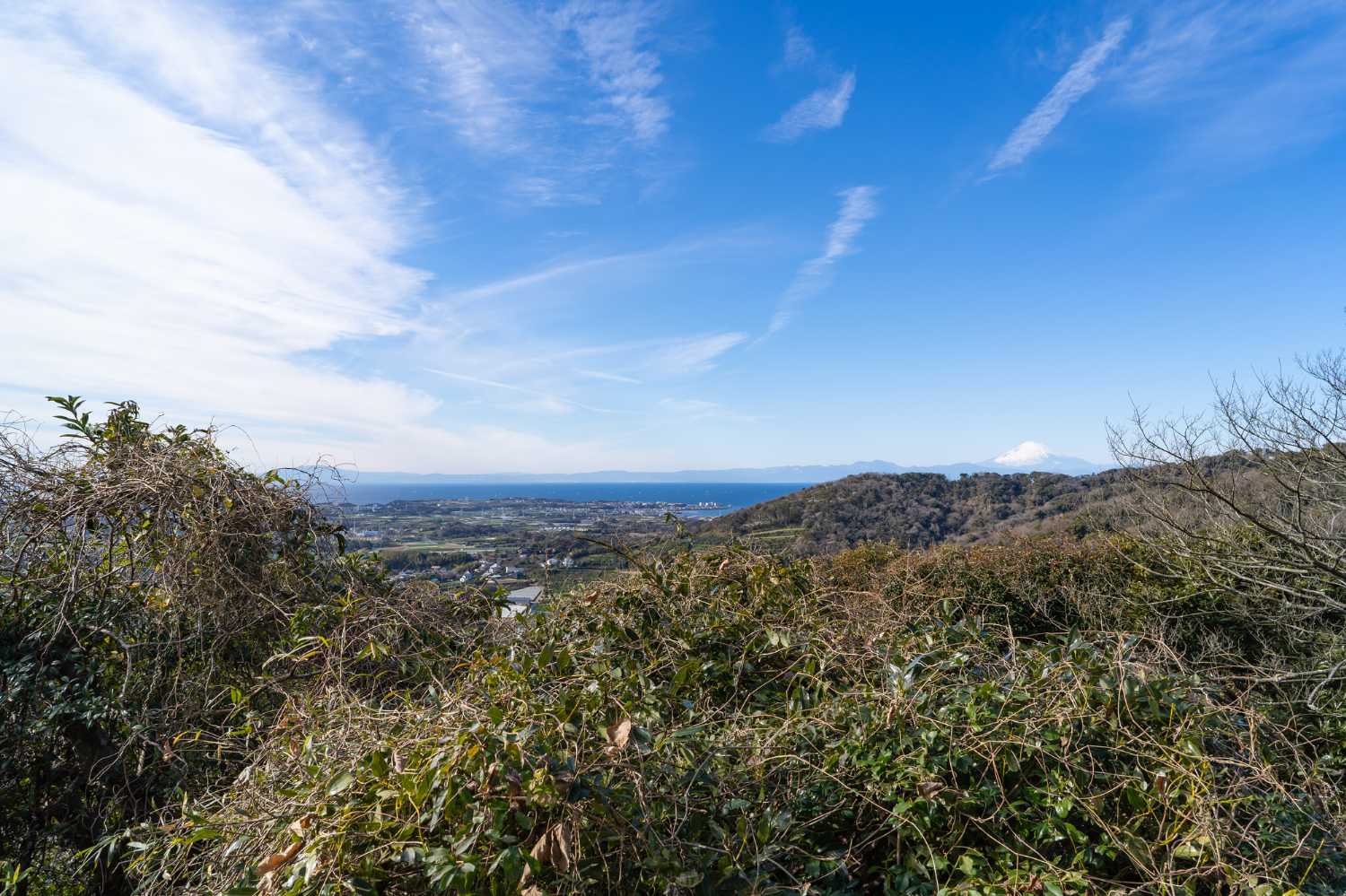 つらくない「フラット登山」に脚光｜膝にやさしく、自然とつながる【コースガイド30選】 | YAMAP MAGAZINE