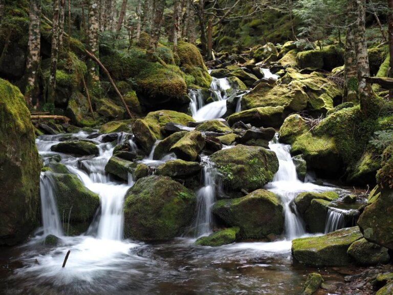 登山者注目の一眼カメラ『OM-5 Mark Ⅱ』｜雨の八ヶ岳で徹底レビュー | YAMAP MAGAZINE