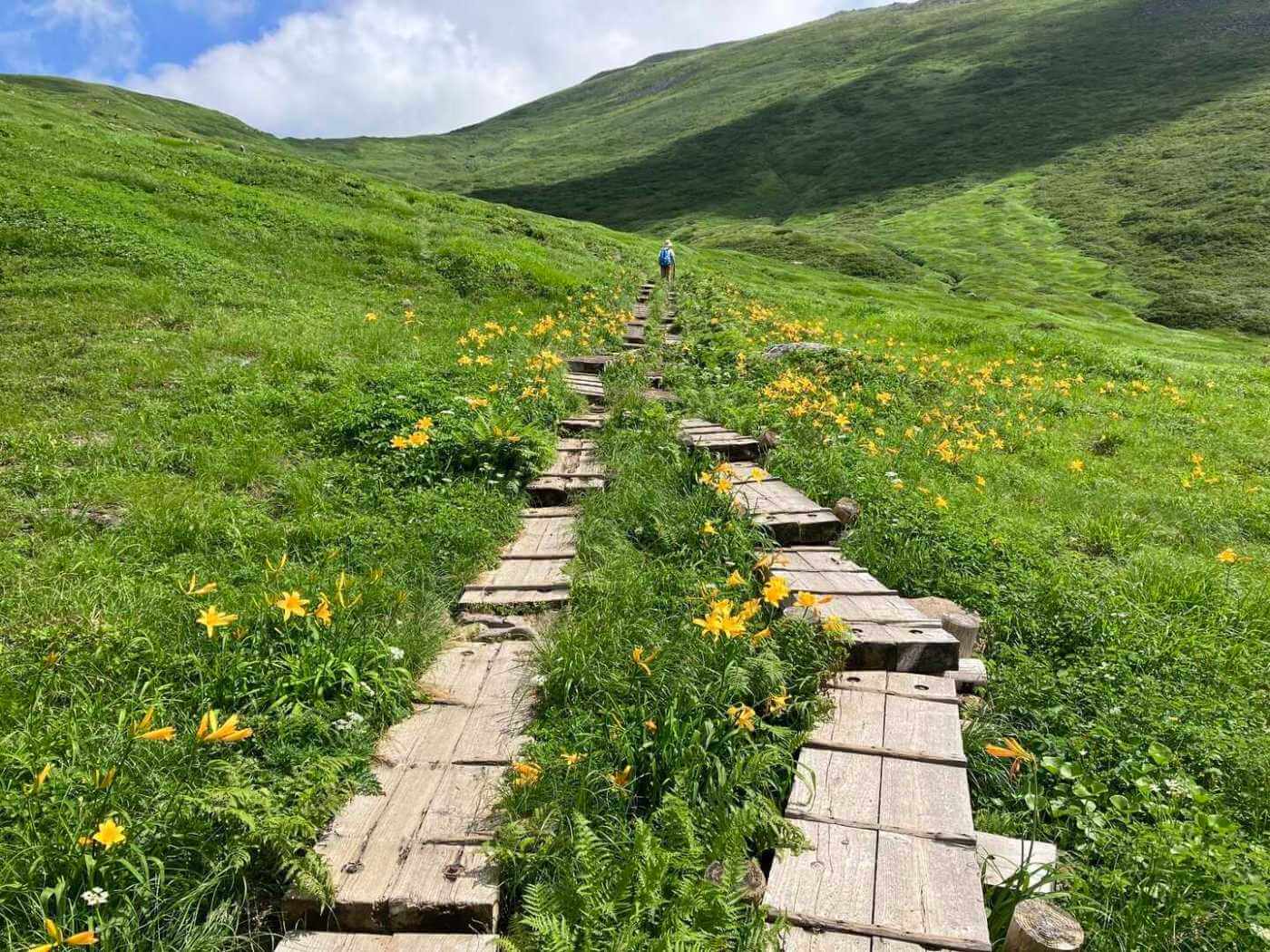 花の百名山・月山へ。霊峰を巡り名湯に癒される旅｜やまがた百名山・村山編 | YAMAP MAGAZINE