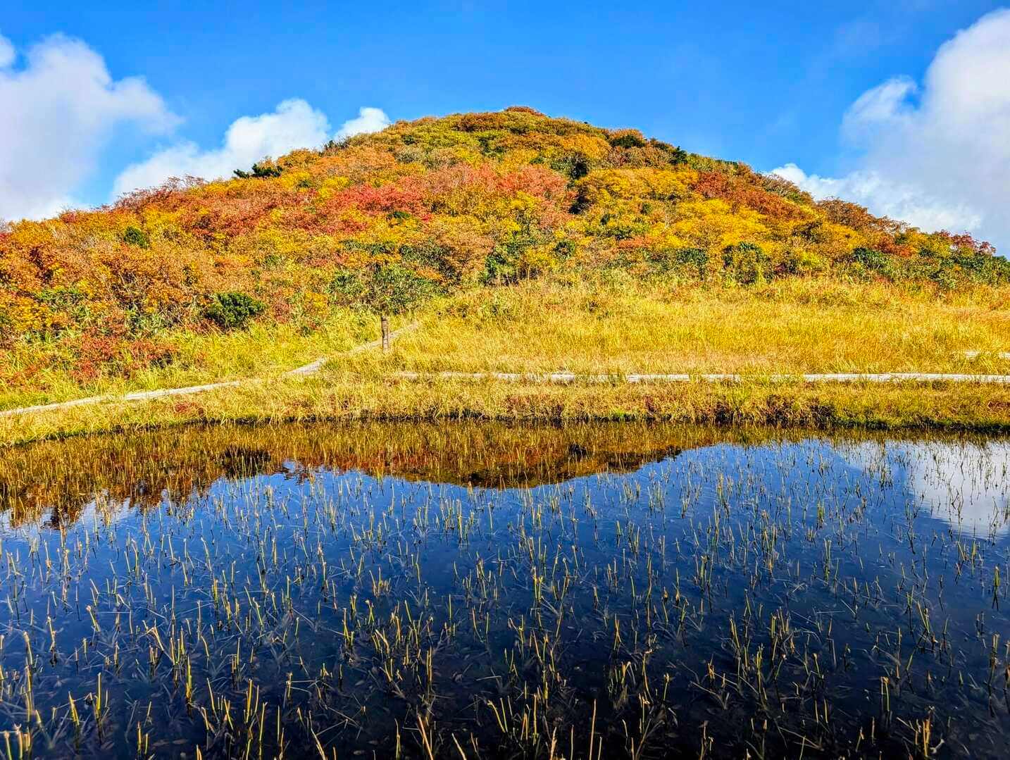 花の百名山・月山へ。霊峰を巡り名湯に癒される旅｜やまがた百名山・村山編 | YAMAP MAGAZINE