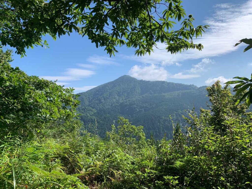 花の百名山・月山へ。霊峰を巡り名湯に癒される旅｜やまがた百名山・村山編 | YAMAP MAGAZINE